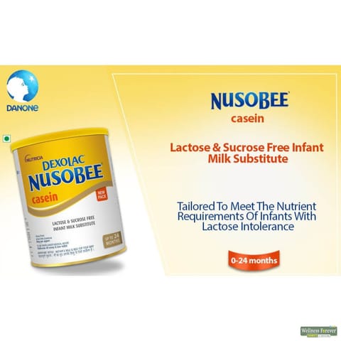 Nusobee Casein 1 Infant Formula Tin, 400 g